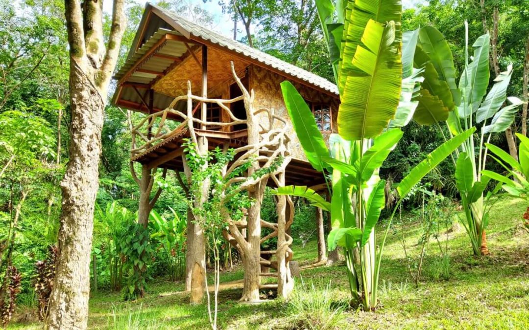 Treehouse gallery - Treehouse Holidays Koh Yao Noi Island Thailand
